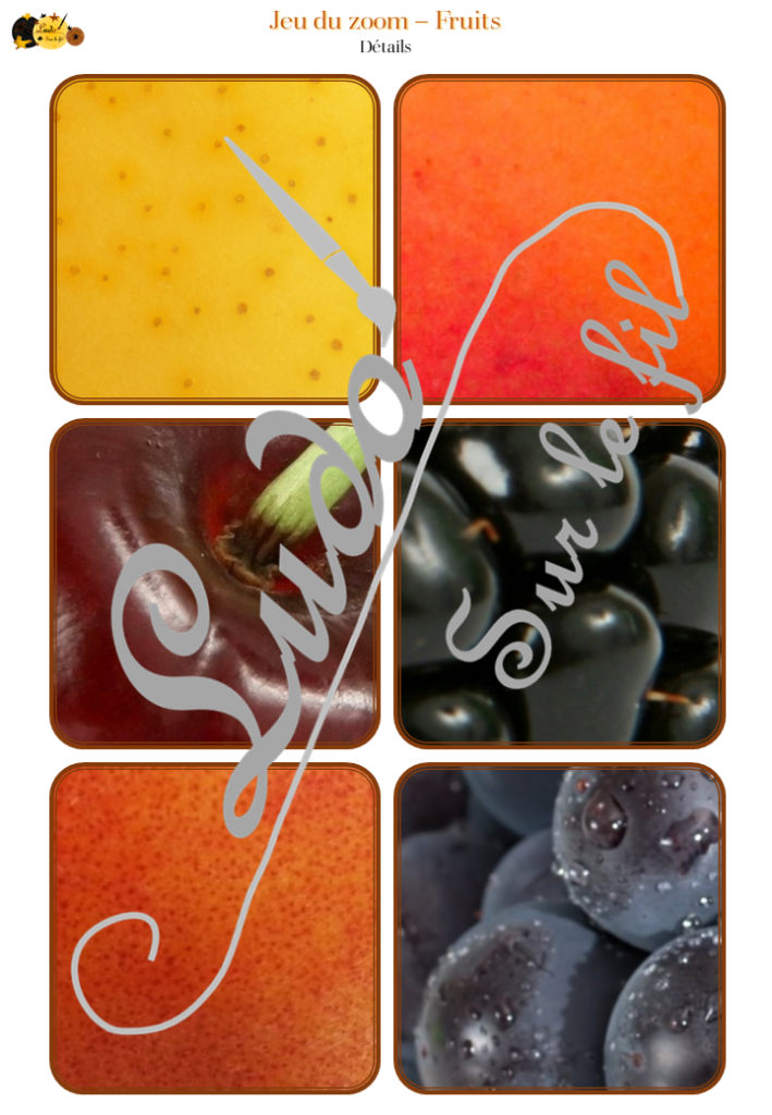 Jeu du Zoom - Fruits & Légumes - Ludo Sur Le Fil