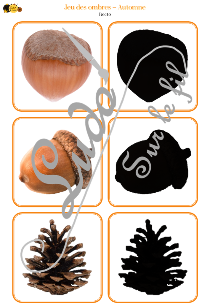Jeu des Ombres - Automne & Feuilles - Ludo Sur Le Fil