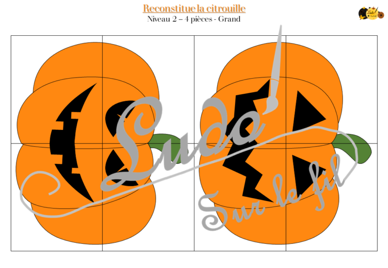 Reconstitue la citrouille - Ludo Sur Le Fil