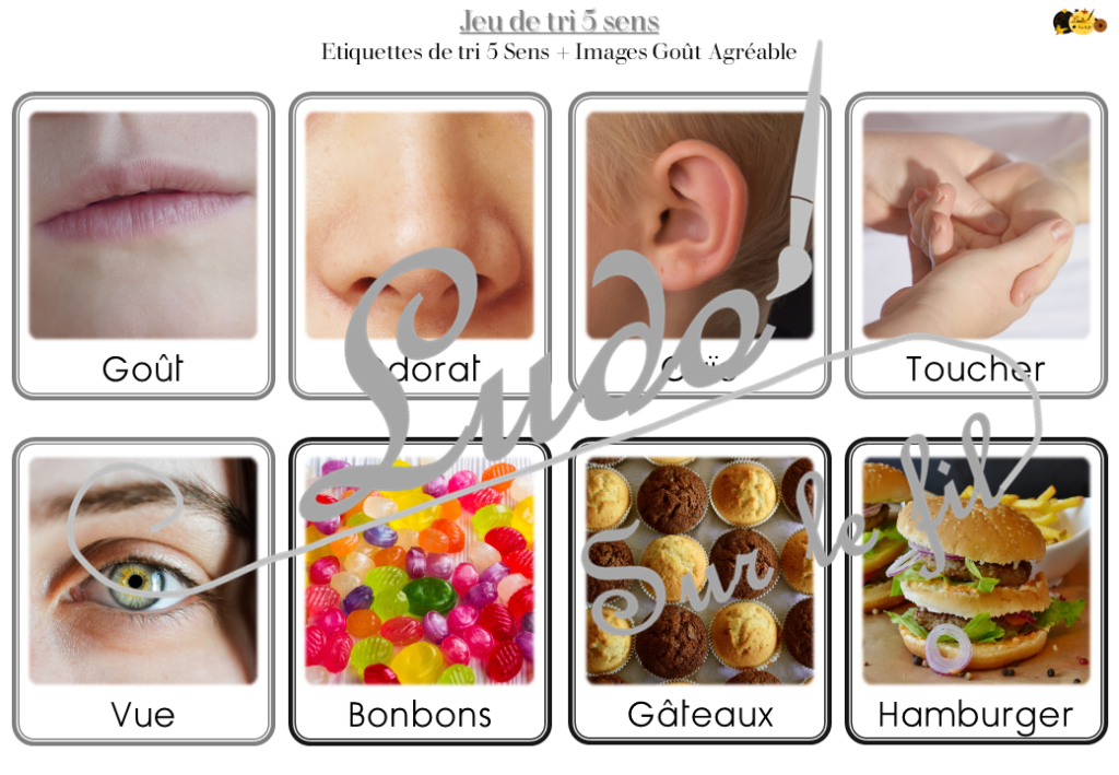 Jeu de classement autour des 5 sens - Ludo Sur Le Fil