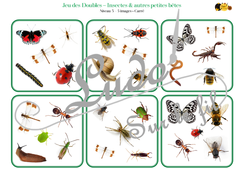 Jeu des doubles - Insectes et autres petites bêtes - Ludo Sur Le Fil
