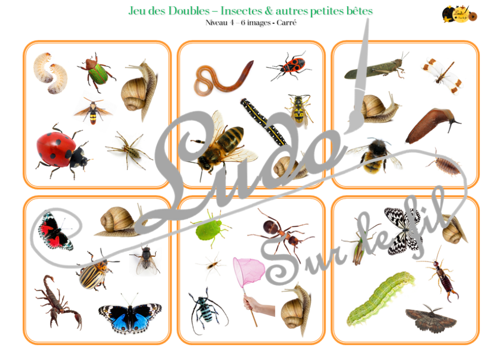 Jeu des doubles - Insectes et autres petites bêtes - Ludo Sur Le Fil