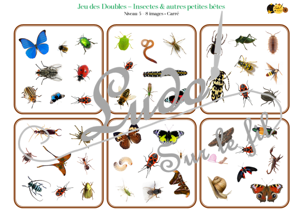 Jeu des doubles - Insectes et autres petites bêtes - Ludo Sur Le Fil