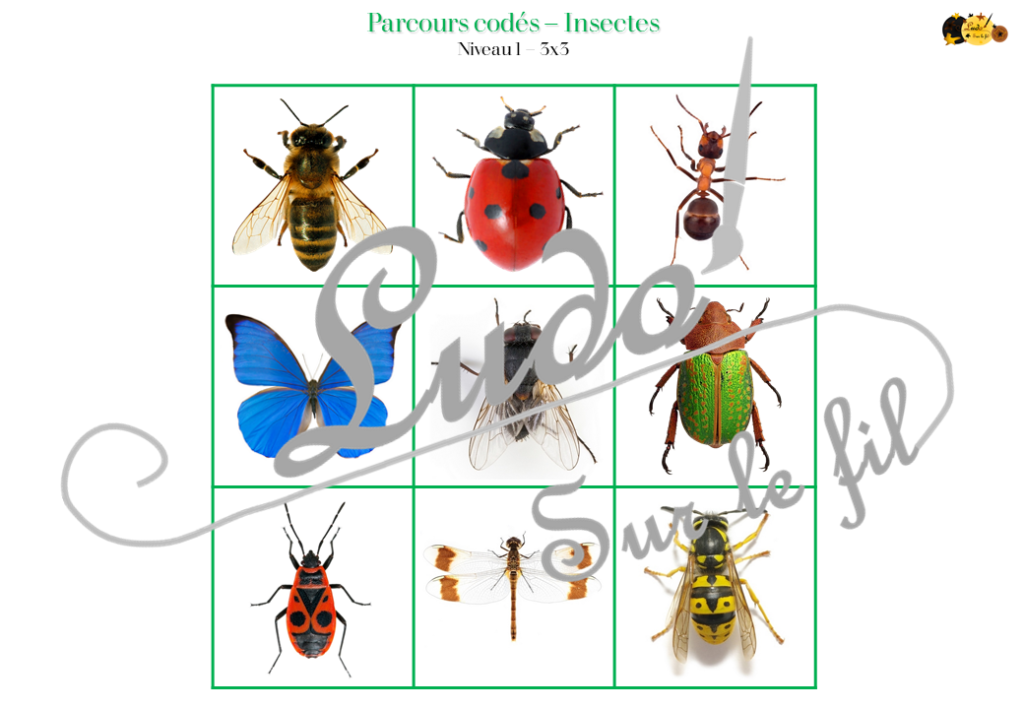 Suis les parcours codés - Insectes - Ludo Sur Le Fil