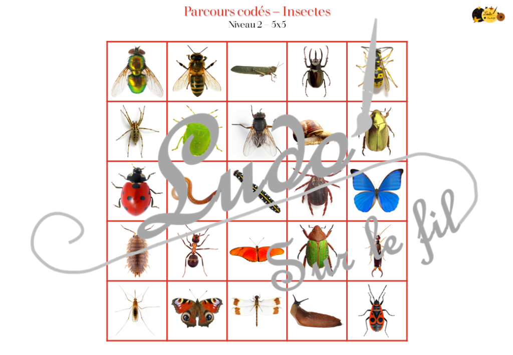 Suis les parcours codés - Insectes - Ludo Sur Le Fil