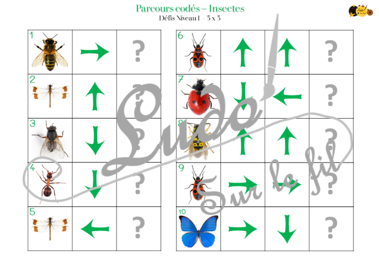 Suis les parcours codés - Insectes - Ludo Sur Le Fil