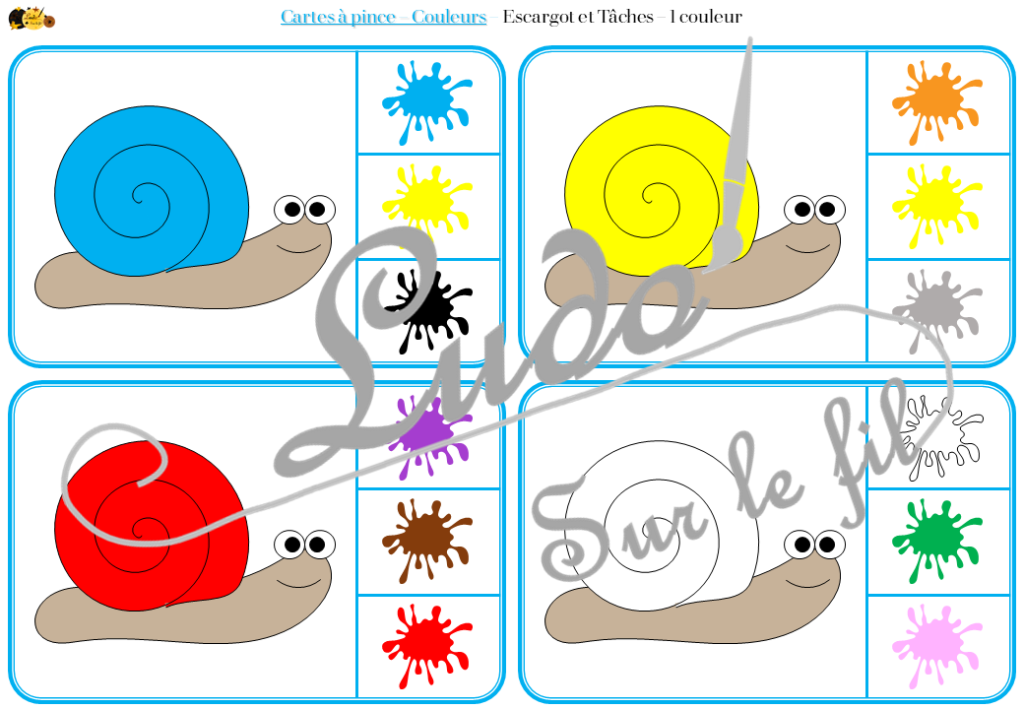Cartes à pince - Couleurs & Animaux de la forêt - Ludo Sur Le Fil