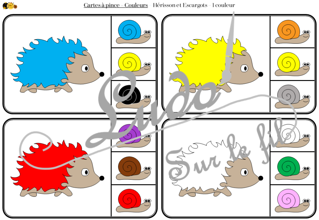 Cartes à pince - Couleurs & Animaux de la forêt - Ludo Sur Le Fil