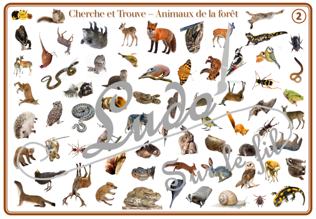Cherche et Trouve - Animaux de la forêt - Ludo Sur Le Fil