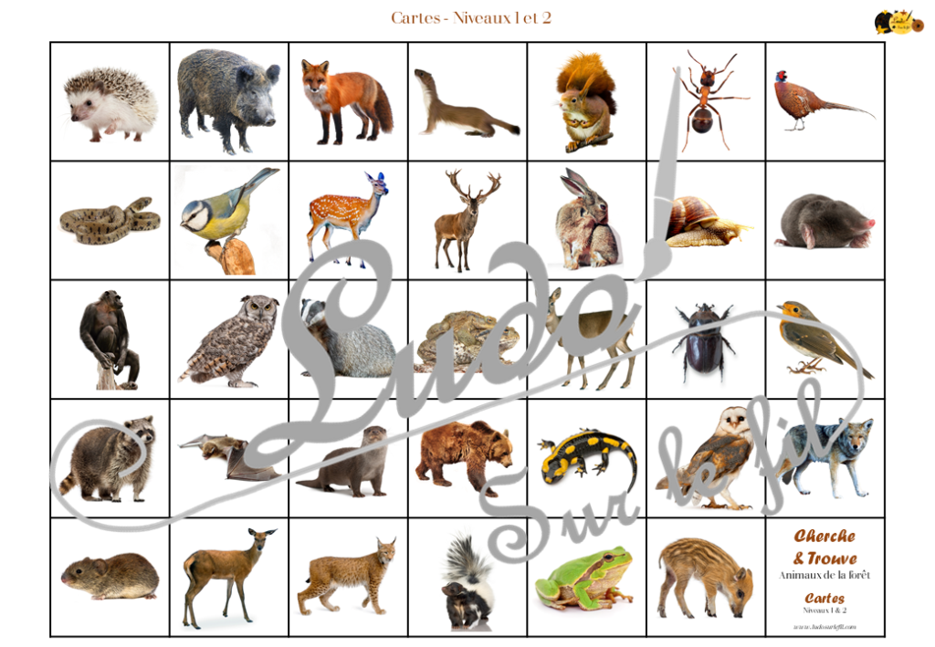 Cherche et Trouve - Animaux de la forêt - Ludo Sur Le Fil