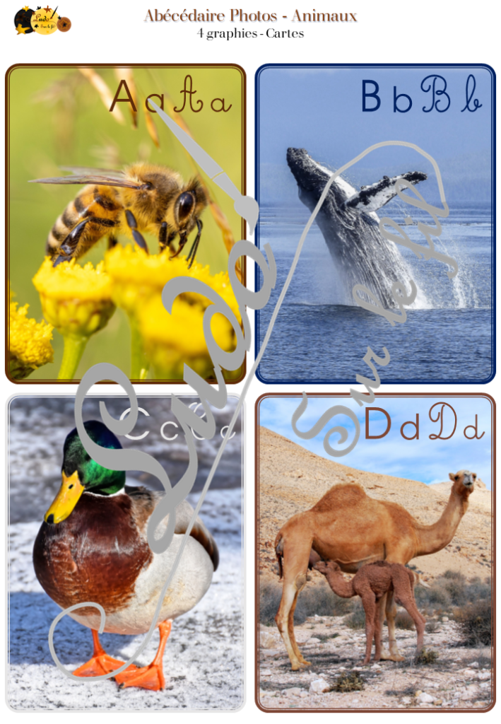 Abécédaire Photos - Animaux - Ludo Sur Le Fil