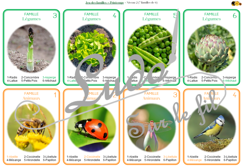 Jeu des familles - Printemps - Ludo Sur Le Fil