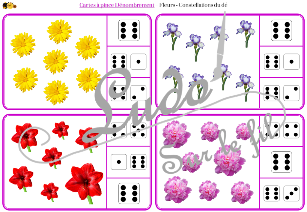 Cartes à pince - Dénombrement - Fleurs - Ludo Sur Le Fil