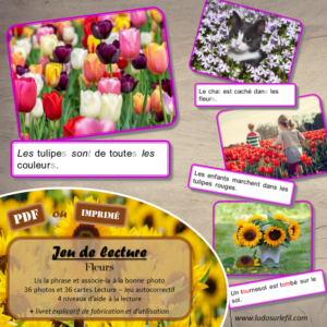 Jeu de lecture - Fleurs - Ludo Sur Le Fil