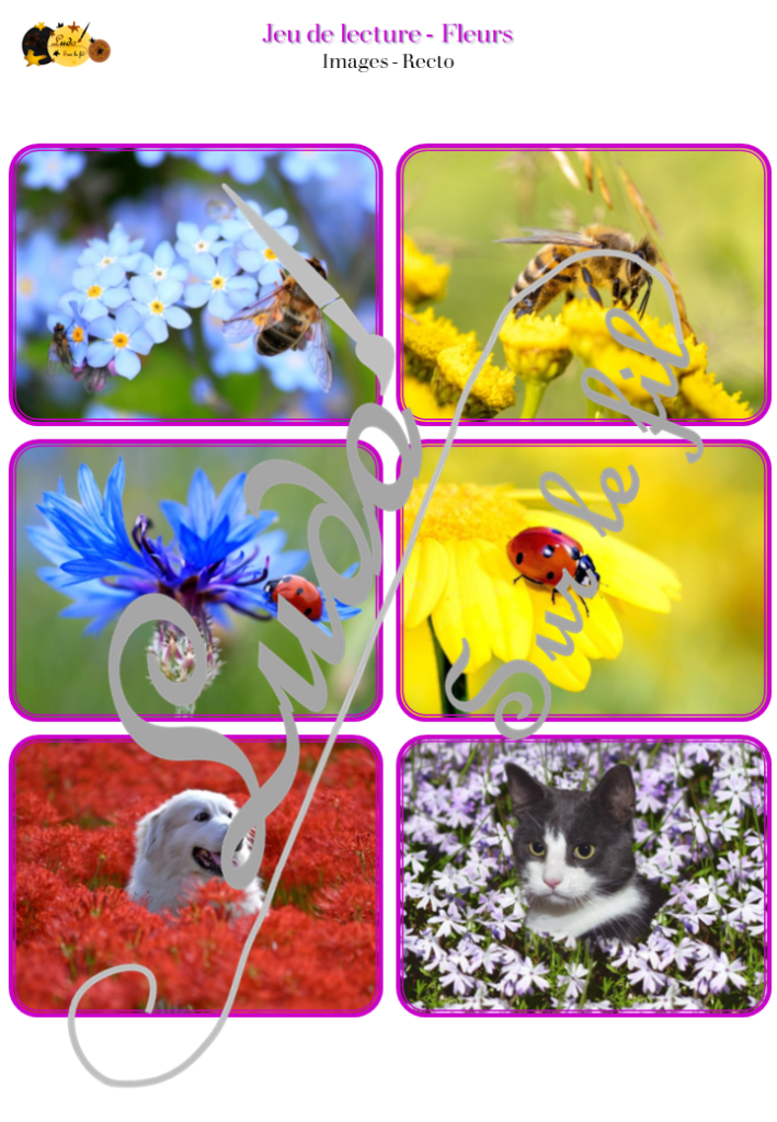 Jeu de lecture - Fleurs - Ludo Sur Le Fil