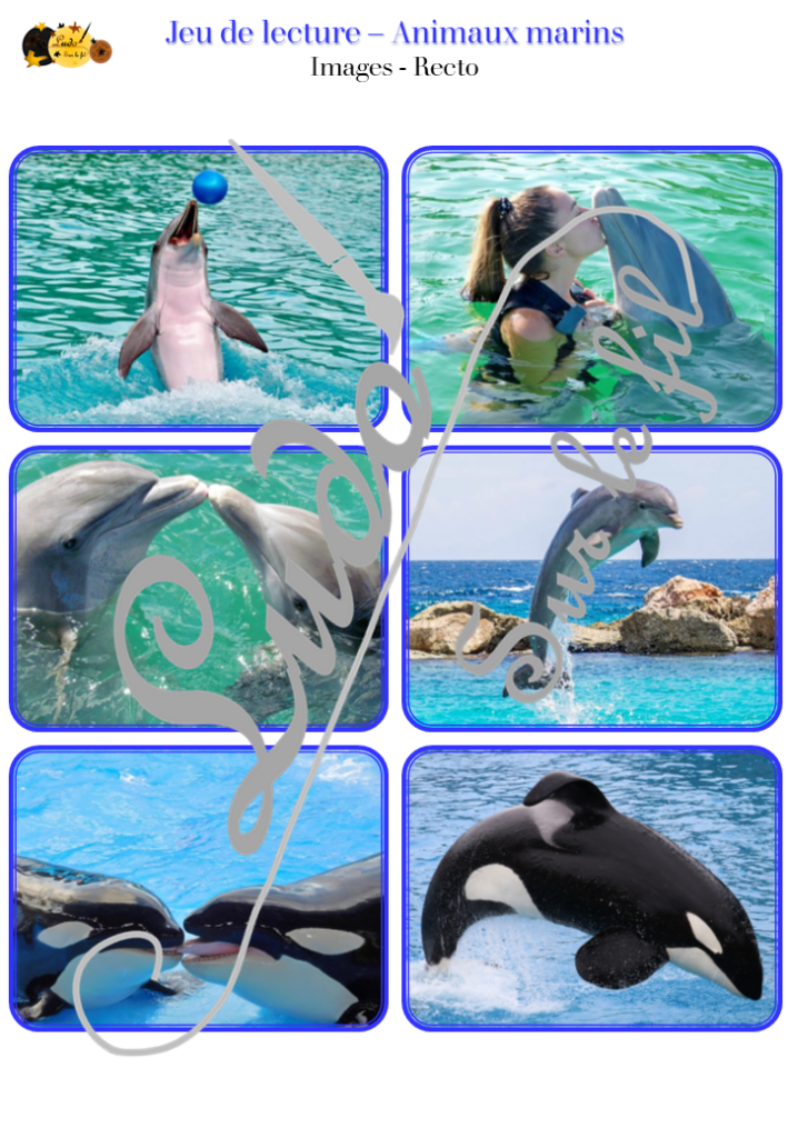 Jeu de lecture - Animaux marins - Ludo Sur Le Fil