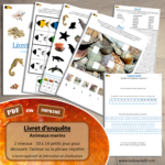 Livret d'enquête - Animaux marins - Ludo Sur Le Fil