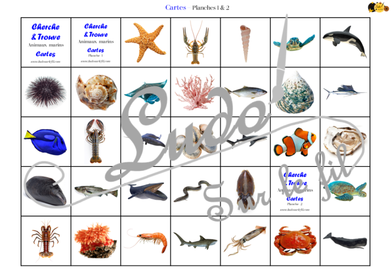 Cherche et Trouve - Animaux marins - Ludo Sur Le Fil