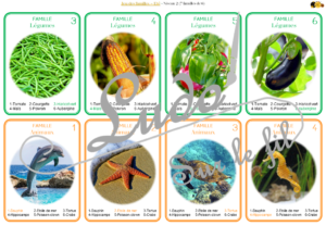 Jeu des familles - Eté - Ludo Sur Le Fil