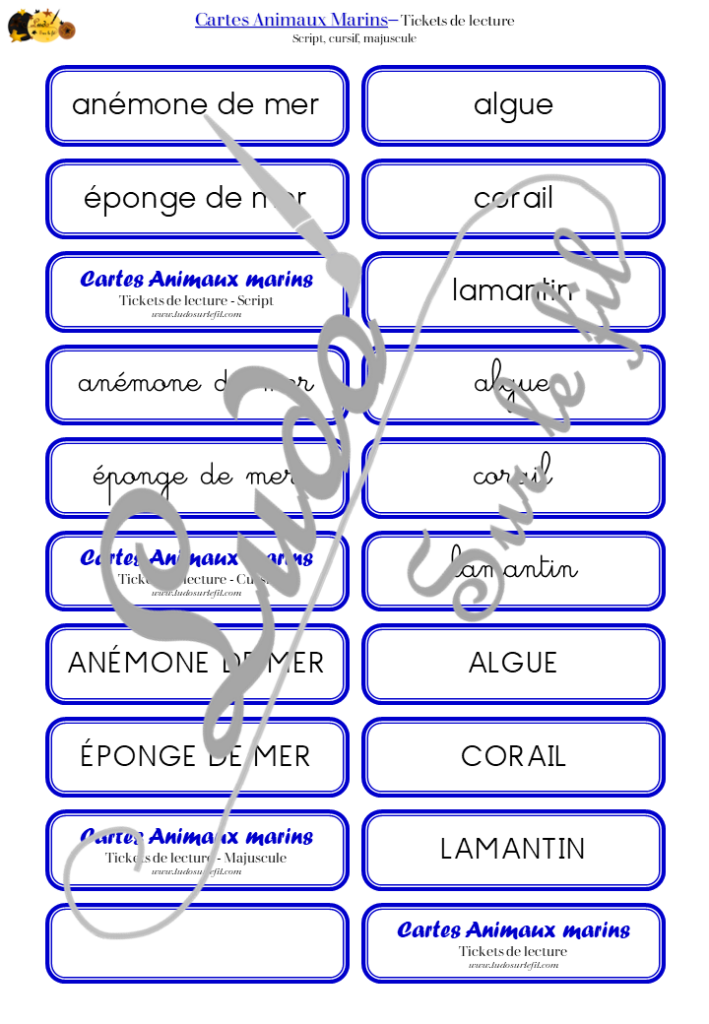 Cartes Animaux Marins - Photos Fond Blanc - Ludo Sur Le Fil