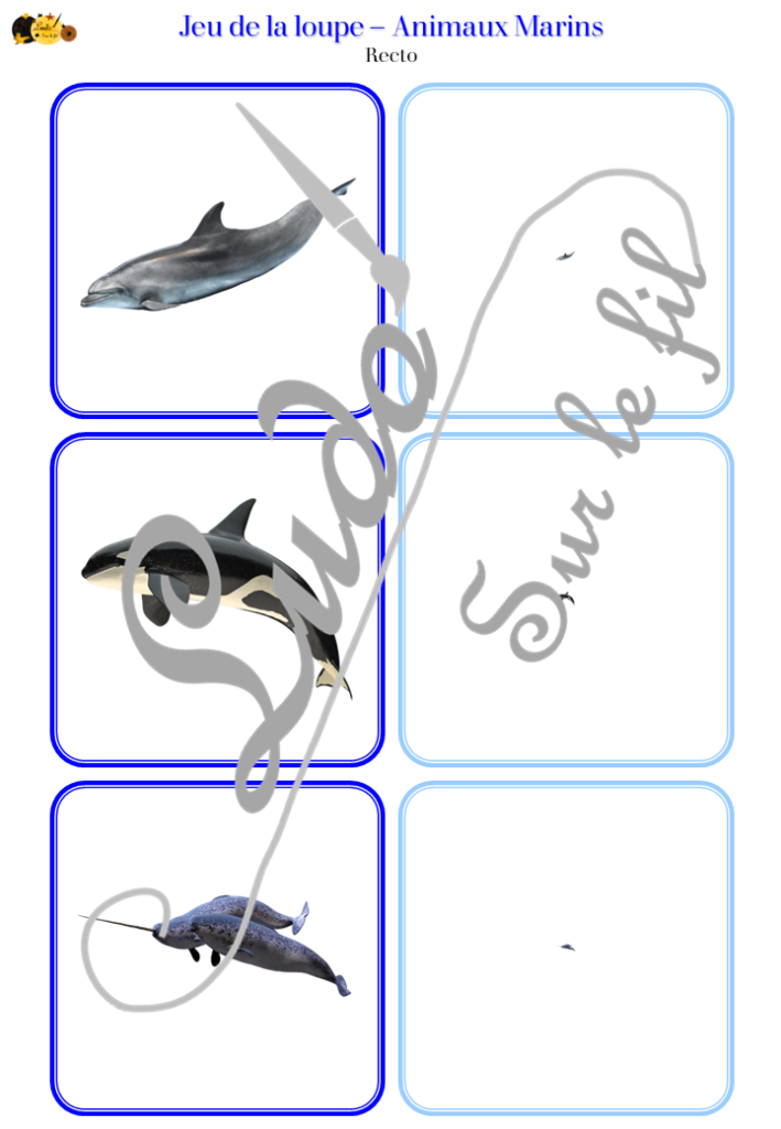Jeu de la loupe - Animaux marins - Ludo Sur Le Fil