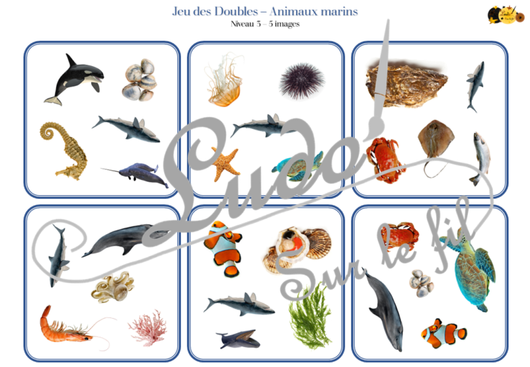 Jeu des doubles - Animaux marins - Ludo Sur Le Fil