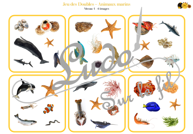 Jeu des doubles - Animaux marins - Ludo Sur Le Fil