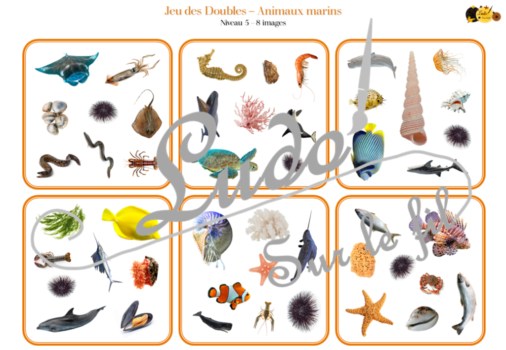 Jeu des doubles - Animaux marins - Ludo Sur Le Fil