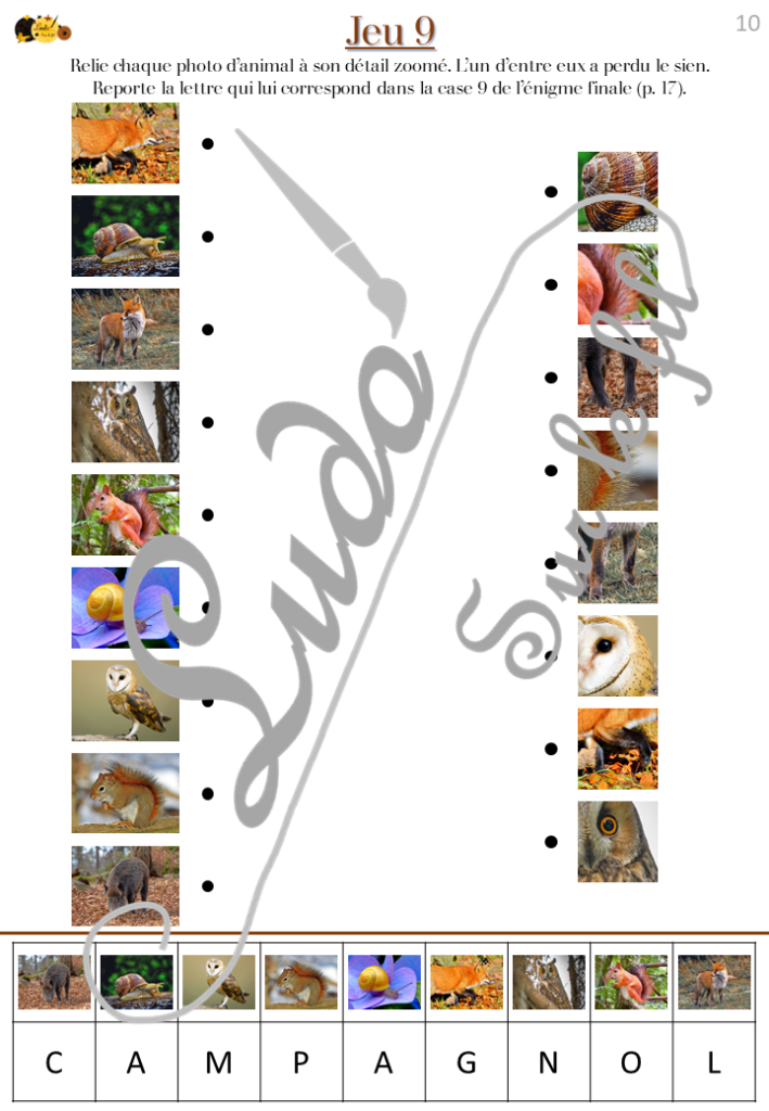 Livret d'enquête - Animaux de la forêt - Ludo Sur Le Fil