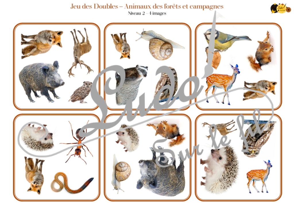 Jeu des doubles - Animaux des forêts et campagnes - Ludo Sur Le Fil