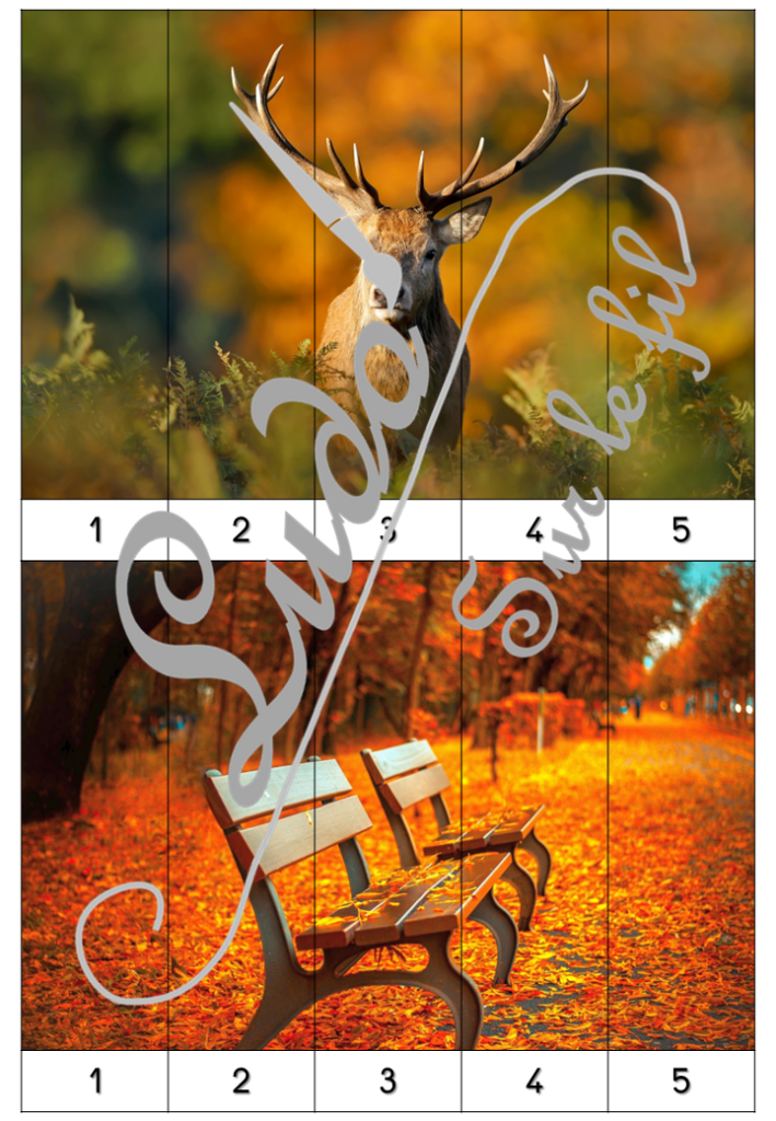 Puzzles Numériques - Automne - Ludo Sur Le Fil