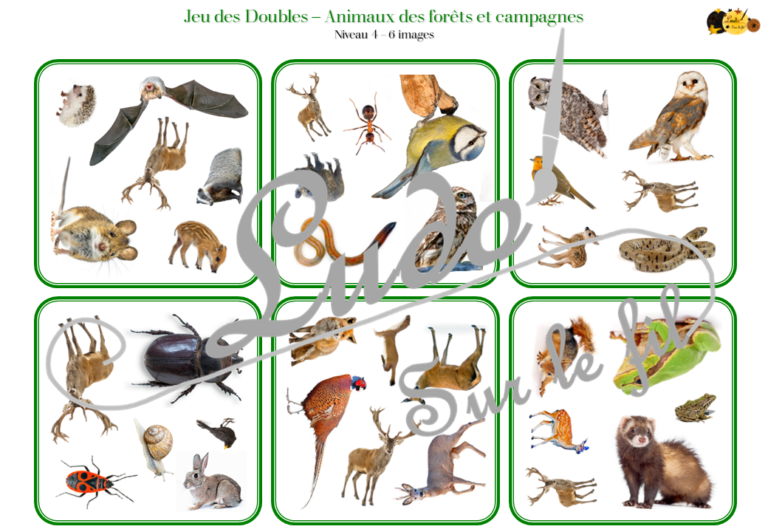 Jeu des doubles - Animaux des forêts et campagnes - Ludo Sur Le Fil
