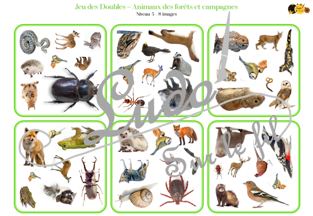 Jeu des doubles - Animaux des forêts et campagnes - Ludo Sur Le Fil
