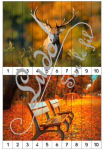 Puzzles Numériques - Automne - Ludo Sur Le Fil