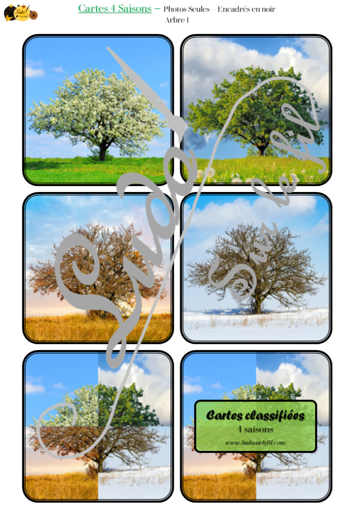 Cartes 4 saisons - Ludo Sur Le Fil