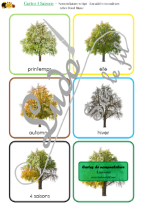 Cartes 4 saisons - Ludo Sur Le Fil