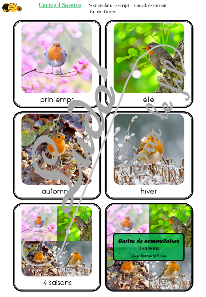 Cartes 4 saisons - Ludo Sur Le Fil