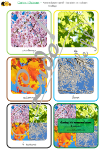 Cartes 4 saisons - Ludo Sur Le Fil