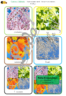 Cartes 4 saisons - Ludo Sur Le Fil