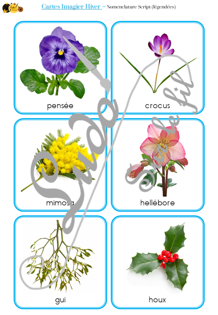 Cartes Imagier de l'hiver - Ludo Sur Le Fil