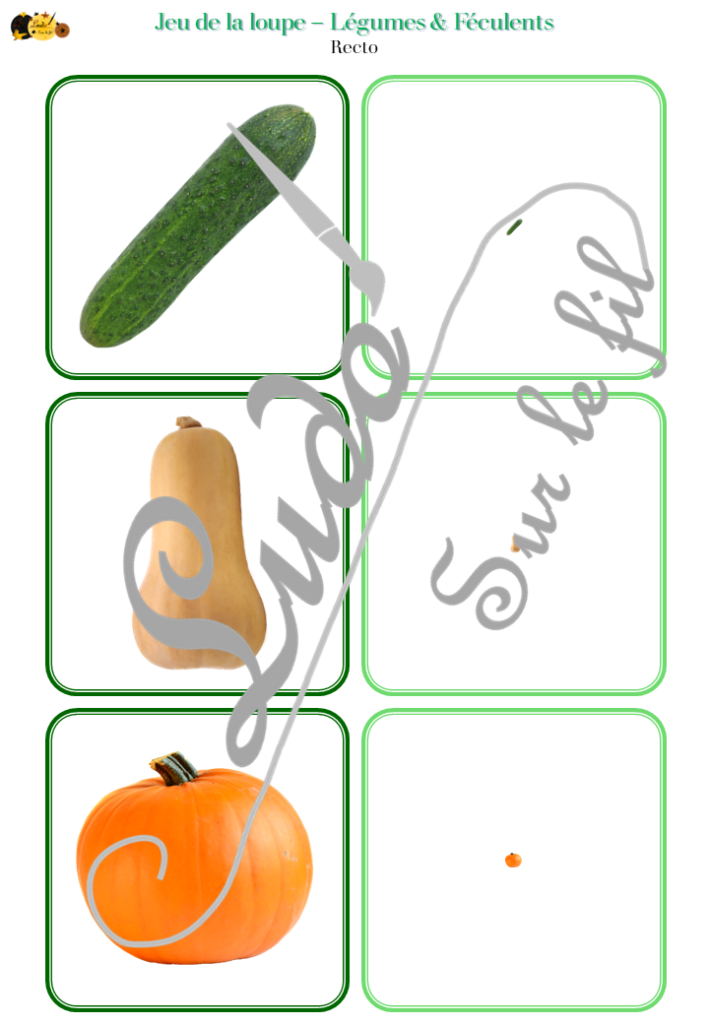 Jeu de la loupe - Légumes et Féculents - Ludo Sur Le Fil