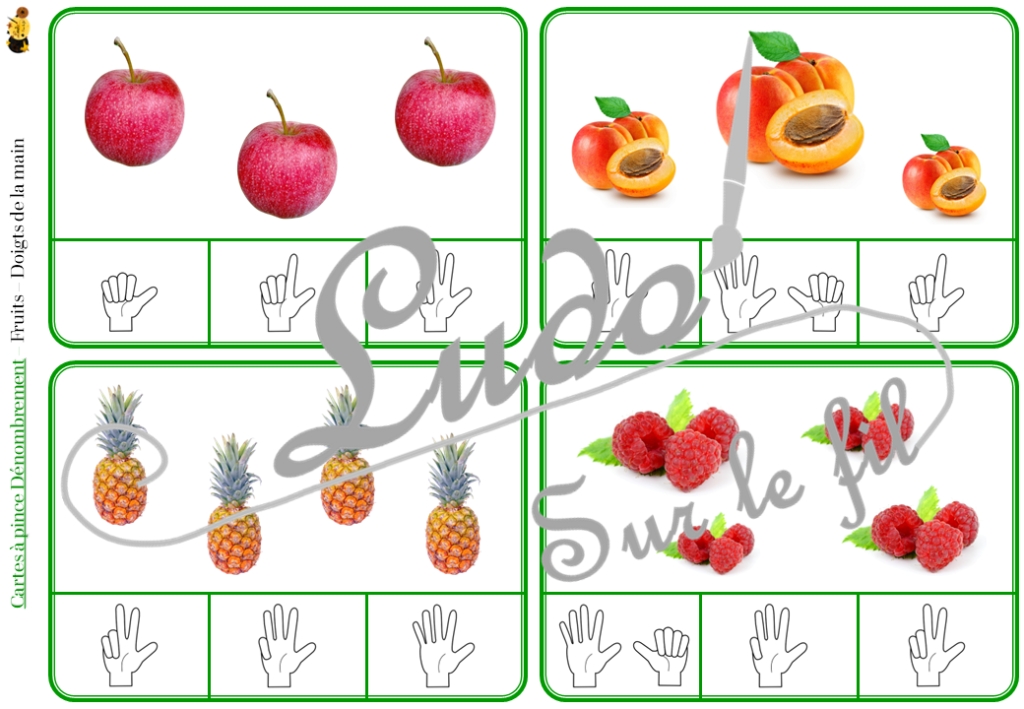 Cartes à pince - Dénombrement - Fruits - Ludo Sur Le Fil