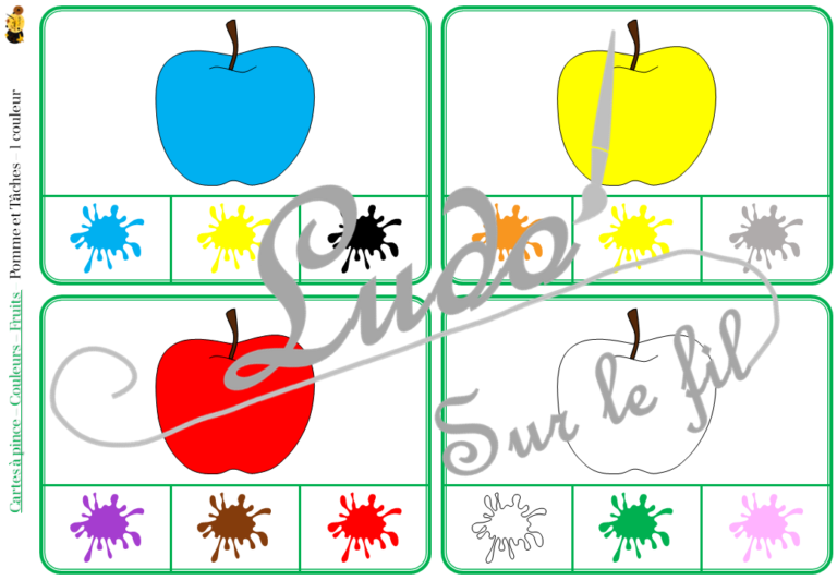 Cartes à pince - Couleurs & Fruits - Ludo Sur Le Fil