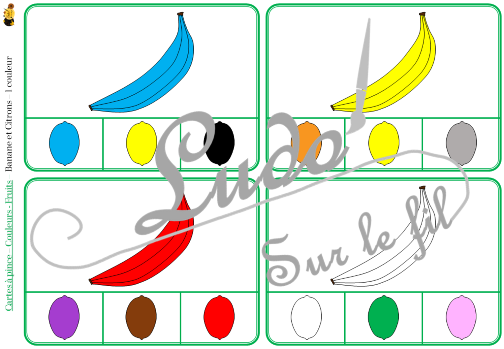 Cartes à pince - Couleurs & Fruits - Ludo Sur Le Fil