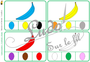 Cartes à pince - Couleurs & Fruits - Ludo Sur Le Fil