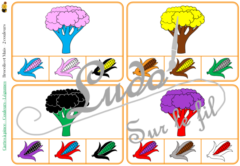 Cartes à pince - Couleurs & Légumes - Ludo Sur Le Fil