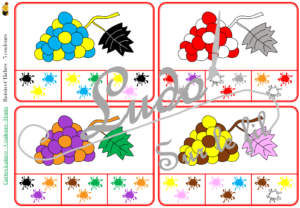 Cartes à pince - Couleurs & Fruits - Ludo Sur Le Fil