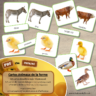 Cartes Animaux de la ferme - Photos Fond blanc - Ludo Sur Le Fil