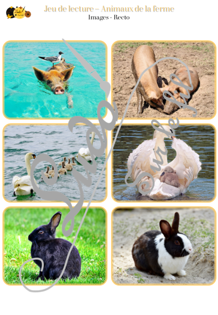 Jeu de lecture - Animaux de la ferme - Ludo Sur Le Fil