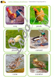 Cartes Animaux de la ferme - Photos avec fond - Ludo Sur Le Fil